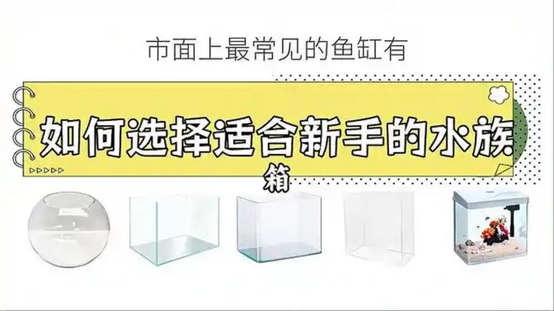 新手养鱼必选鱼缸指南:如何挑选最适合的玻璃材质