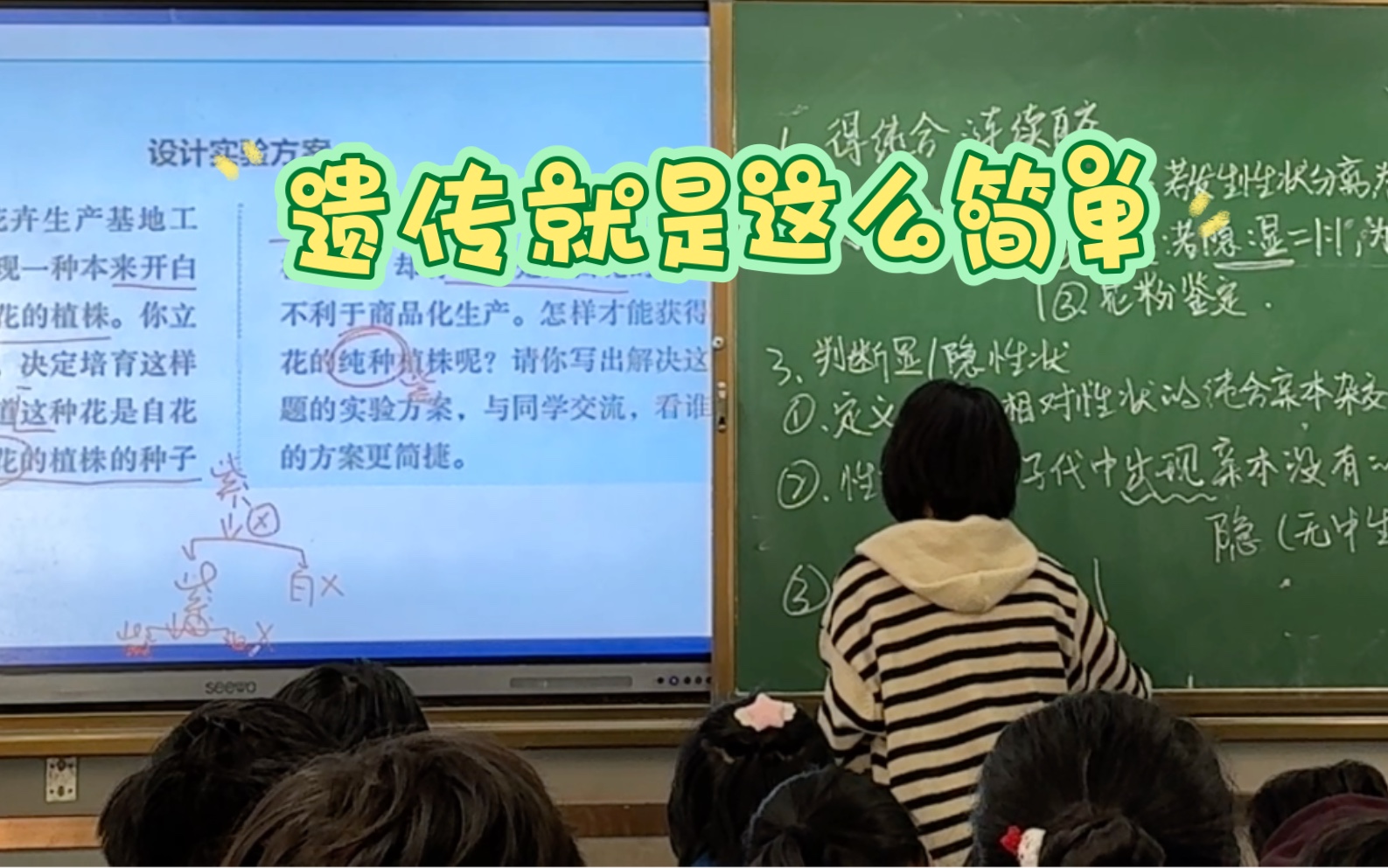 孟德尔的豌豆杂交实验一 2