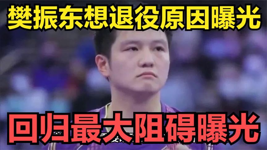 樊振东想退役原因曝光,不是伤病回归最大阻碍曝光,王皓表态