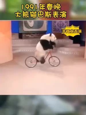 1991年大熊猫巴斯春晚