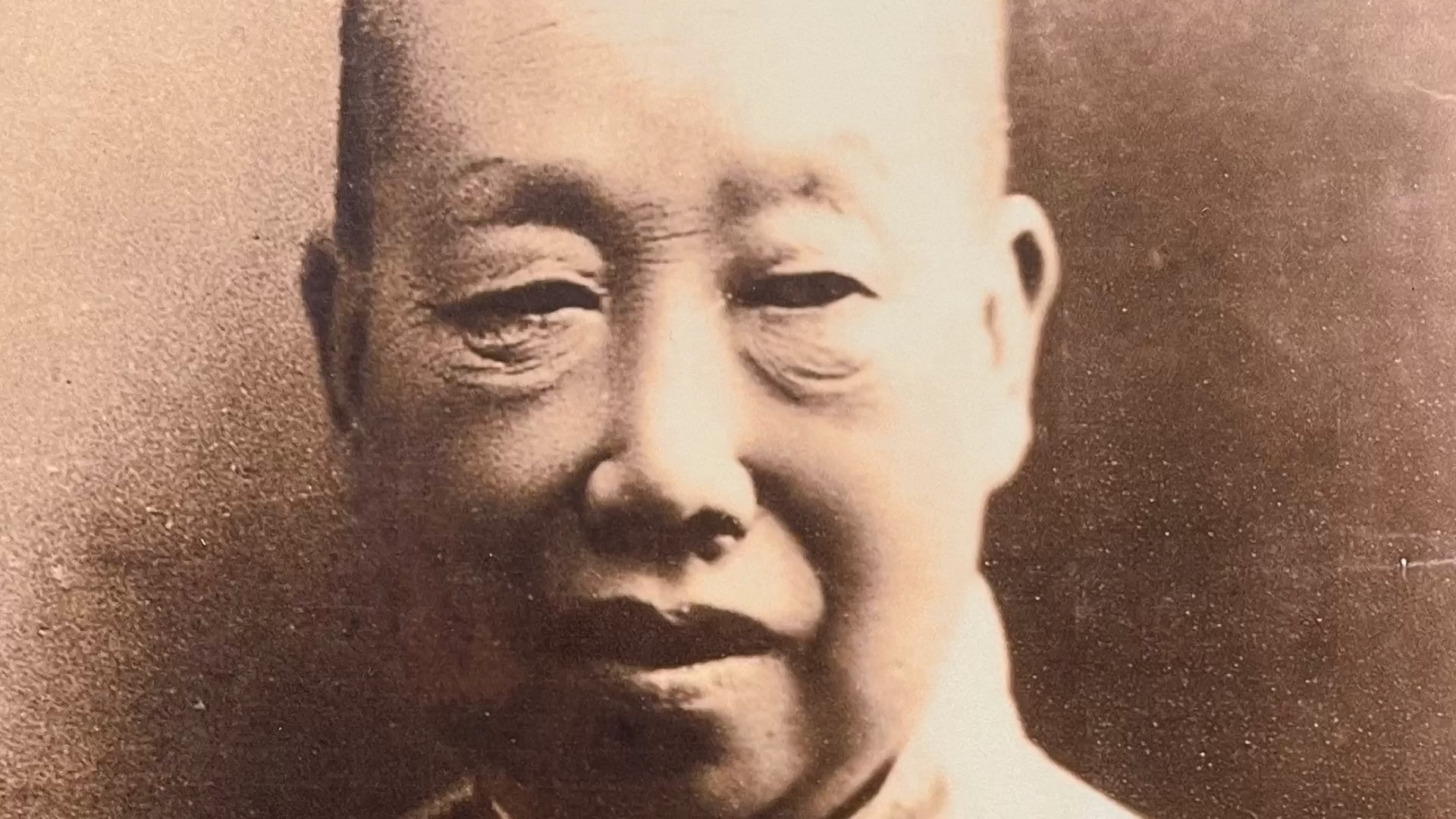 今日中华艺术宫观展《金石力 草木心》,再