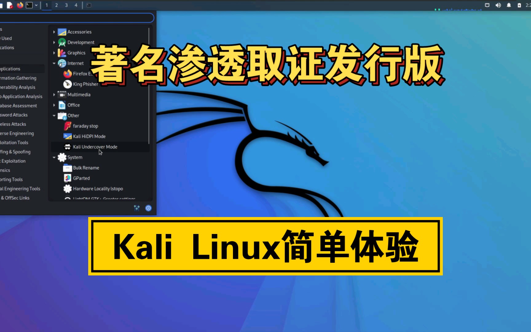 【凛白】著名渗透取证发行版——Kali Linux简单体验