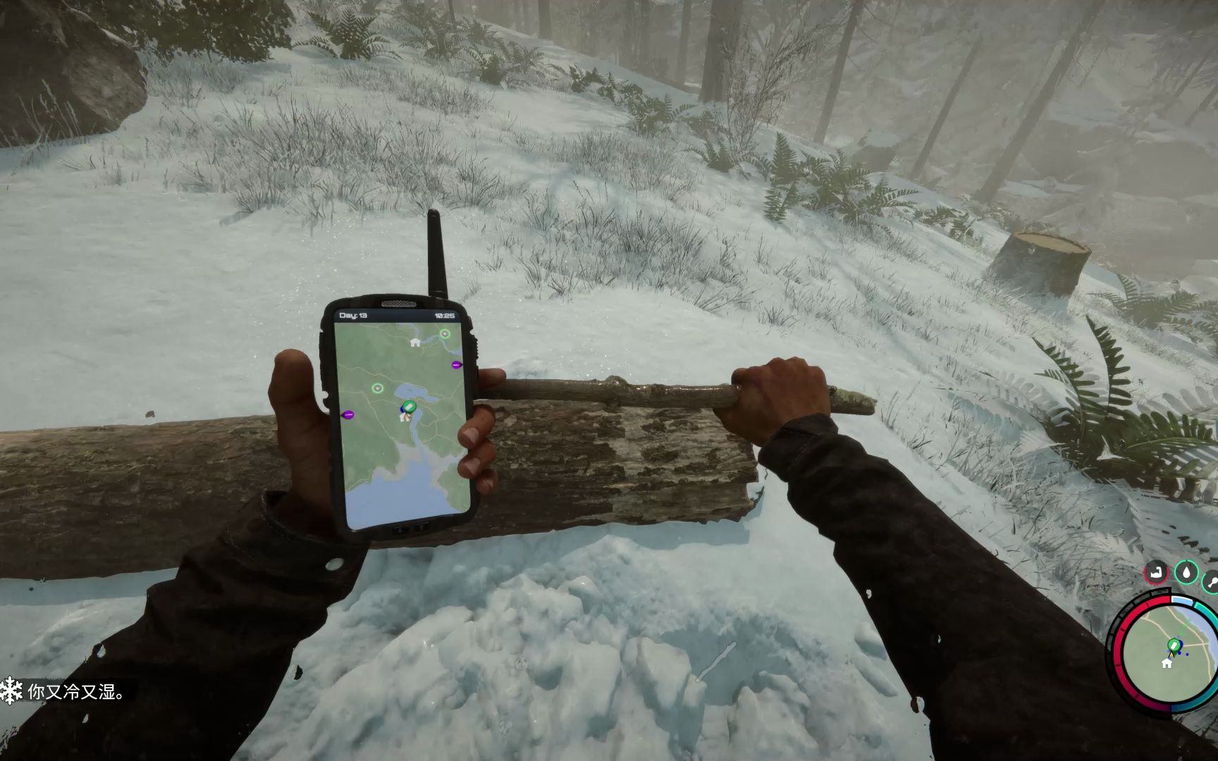 森林之子快速刷木头建房子 房主