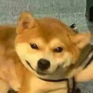 我爱生吃见手青 