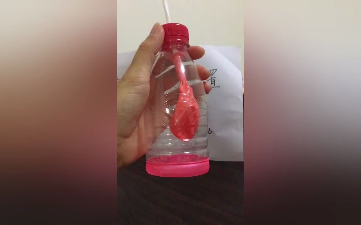 简易呼吸装置模拟肺的呼吸