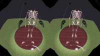 VR 翻转我的教室 虚拟现实生物课 ~ 人骨拼图
