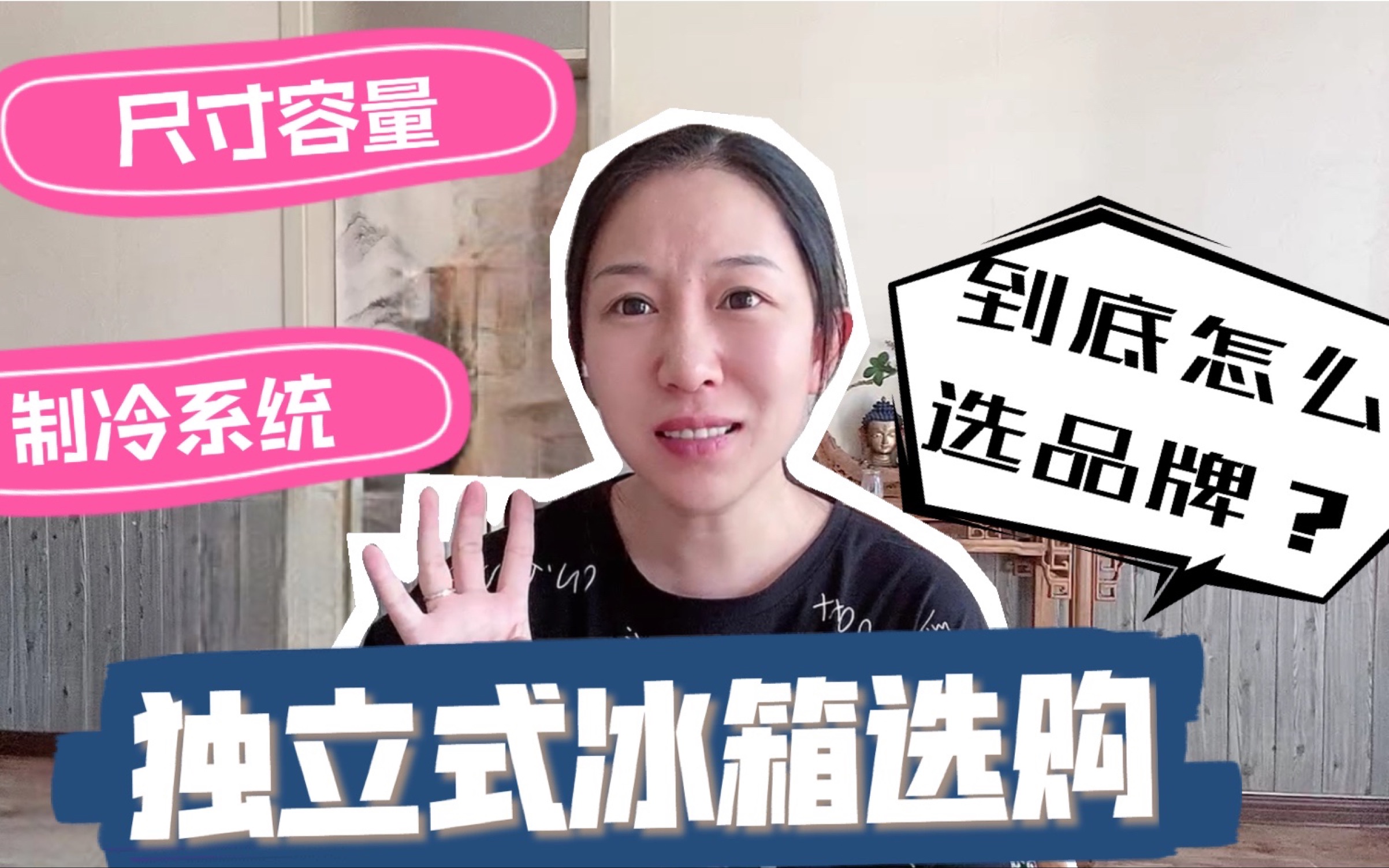 冰箱选购超全攻略(下)附各大品牌对比表格!怎么买性价比最高,花最少钱...