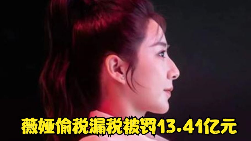 薇娅偷税漏税被罚13.41亿元