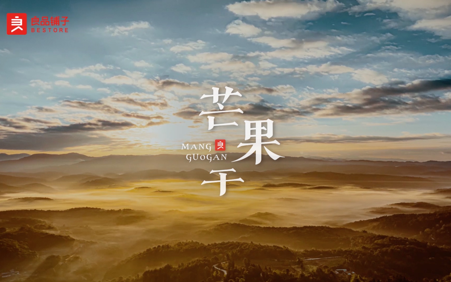 寻味良品—东南亚芒果干