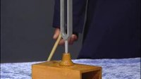 音叉的共鸣箱传播出的声波