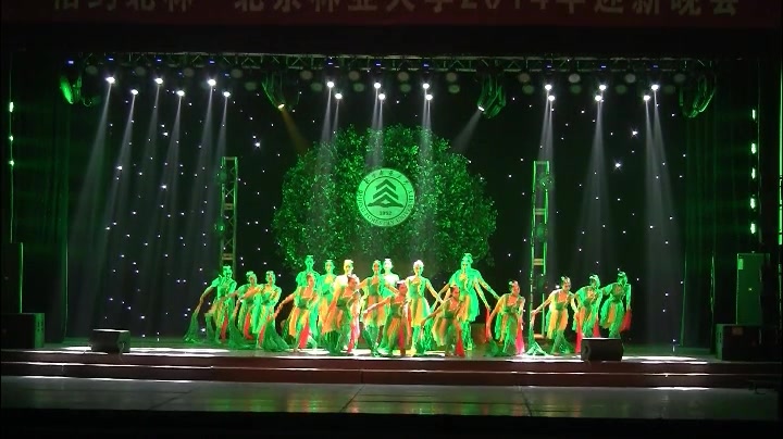 【北京林业大学学生舞蹈团】舞蹈《林忆》