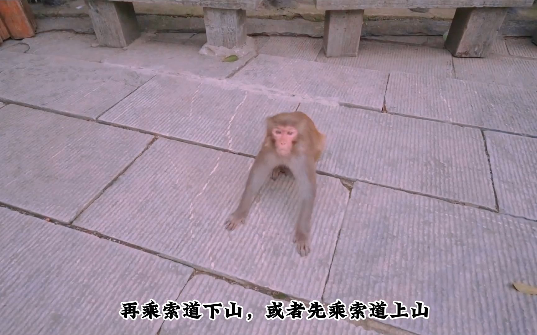 张家界武陵源风景名胜区湖南5A景区武陵源景区徒步讲解打卡武陵源