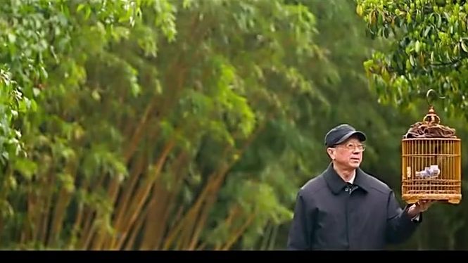 扬州城市旅游形象宣传片「高清」