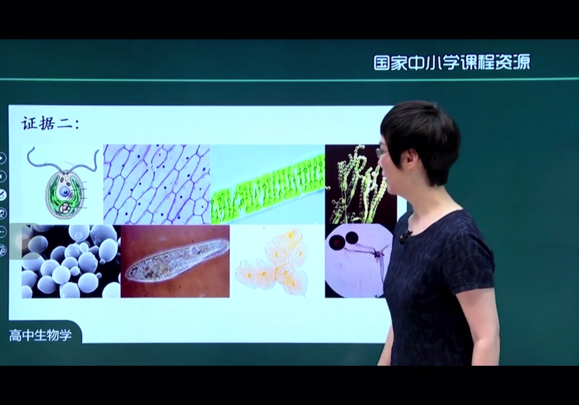 【高中生物】必修一1·2细胞的多样性和统一性