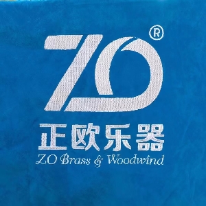 正欧乐器高文艳 