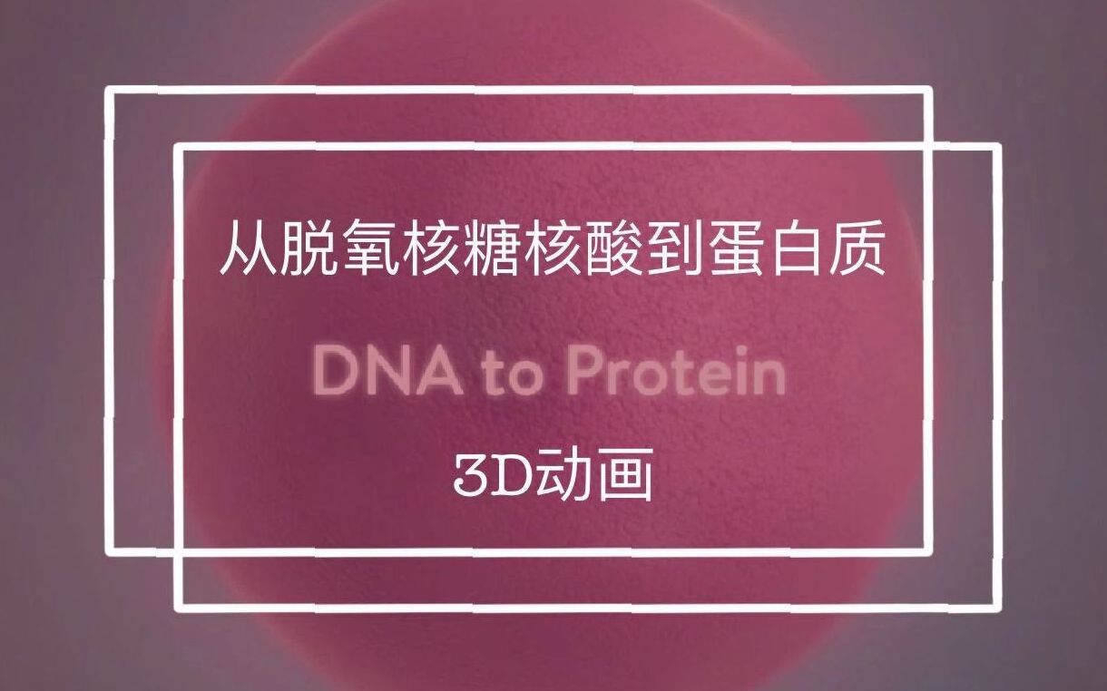 【科普】三分钟小动画:DNA是如何转变成蛋白质的?