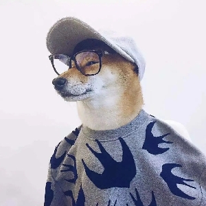 被猹反杀的润土弟弟 
