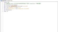 008第一个程序(Win32可执行文件的开发全过程).mp4