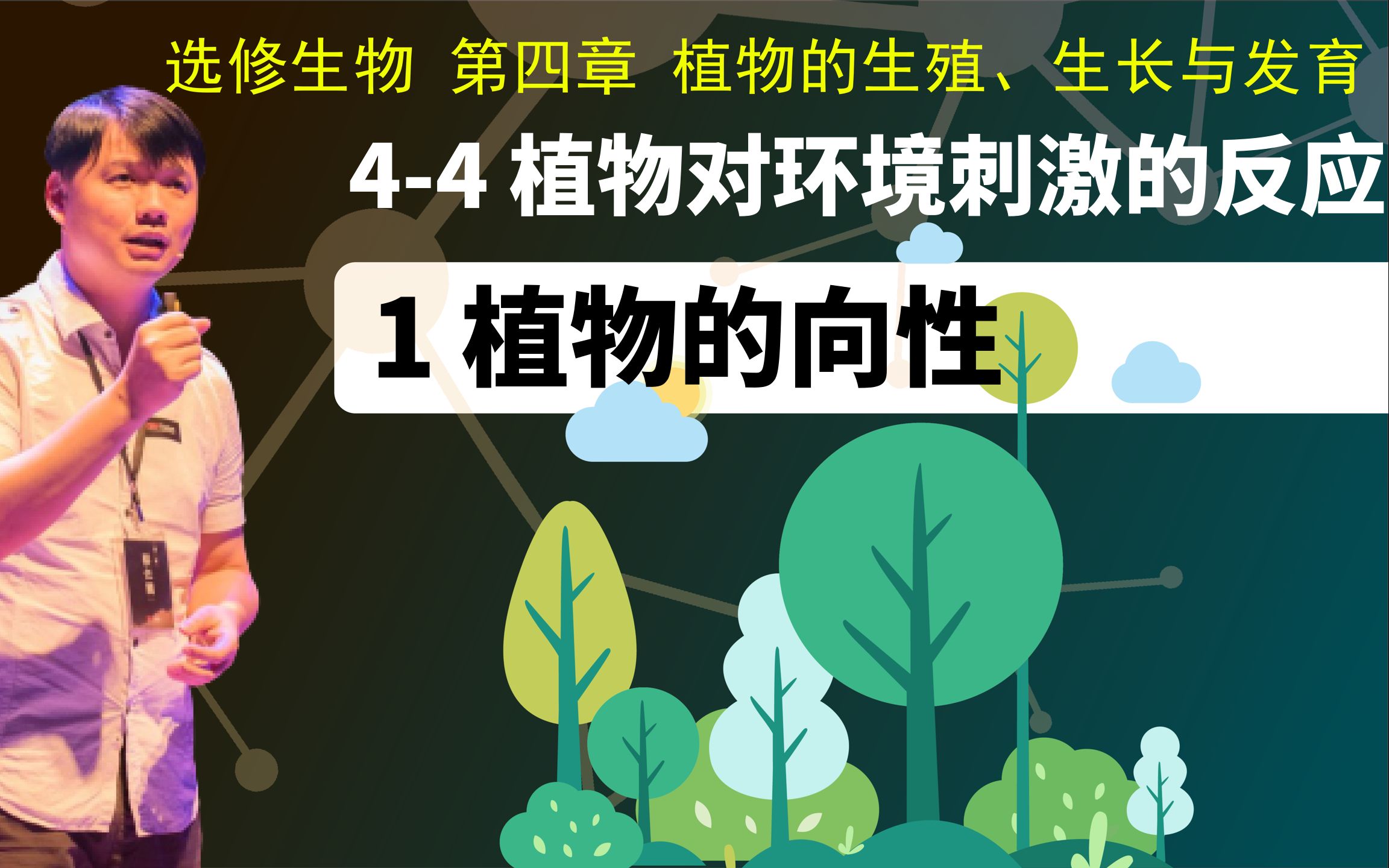 选修生物4-4.1 植物对环境刺激的反应- 植物的向性