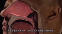 动画解读:病毒如何进入细胞,并快速在身体里传播