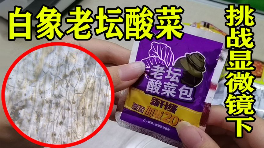 将白象方便面的酸菜,放在显微镜下观察,这品质杠杠的给力