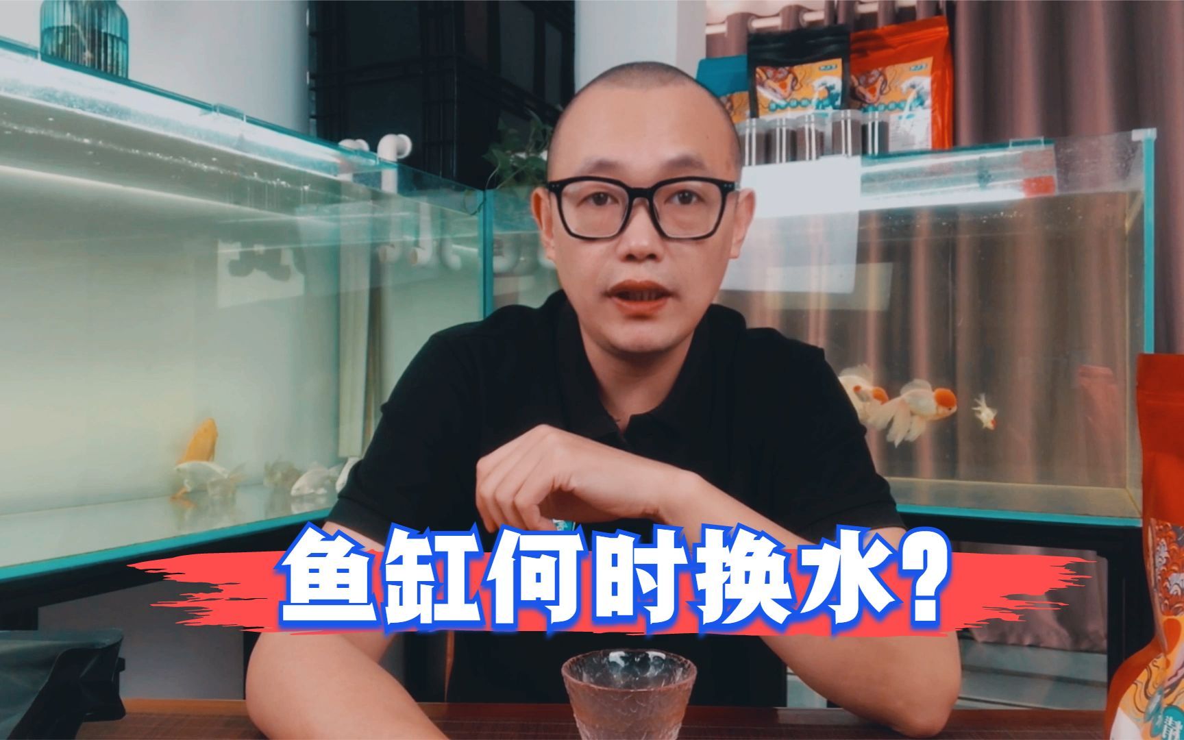 鱼缸换水如何判断水质?换水频次要怎么掌握?