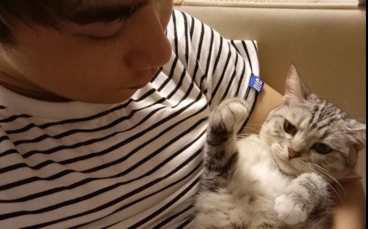 如何缓解母猫发情