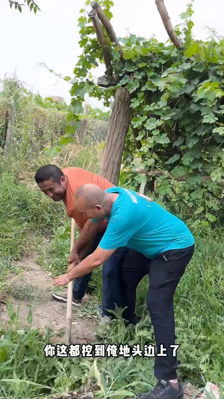 阿图什社会治安综合治理中心:以专业化解果园地界争议,守护邻里情分...