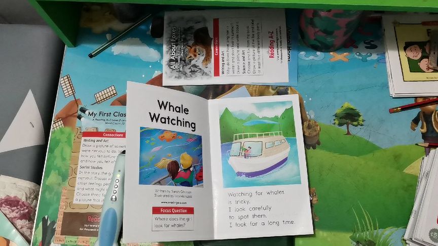 raz分级阅读每天打卡英语启蒙