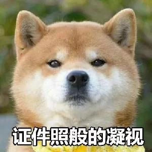 __狗哥__ 