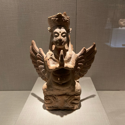 冠希哥助理 