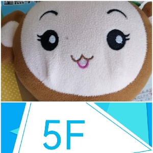 5F工作室创始人 