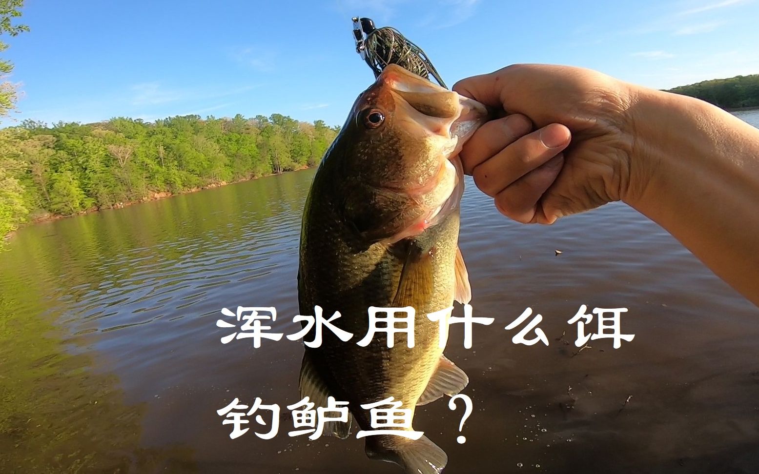 路亚-浑水中用什么饵钓鲈鱼?
