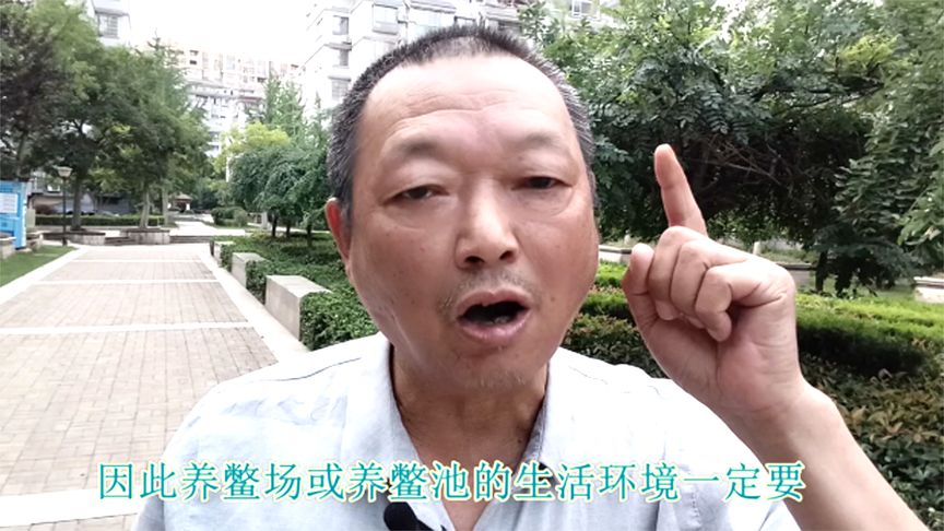 印保林说:甲鱼的生活习性为“三喜三怕”