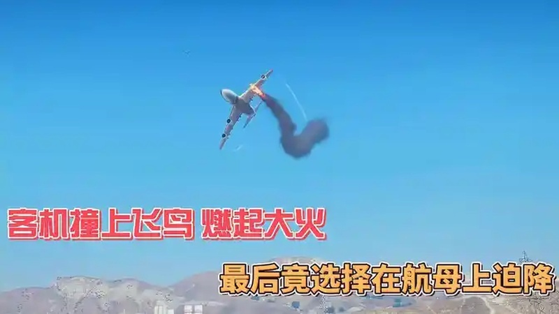 一架客机的左侧遭遇飞鸟撞击燃起大火,此时飞机已经开始不受控制