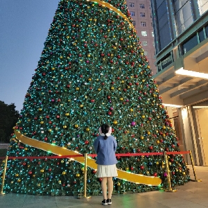 云怡绯红 