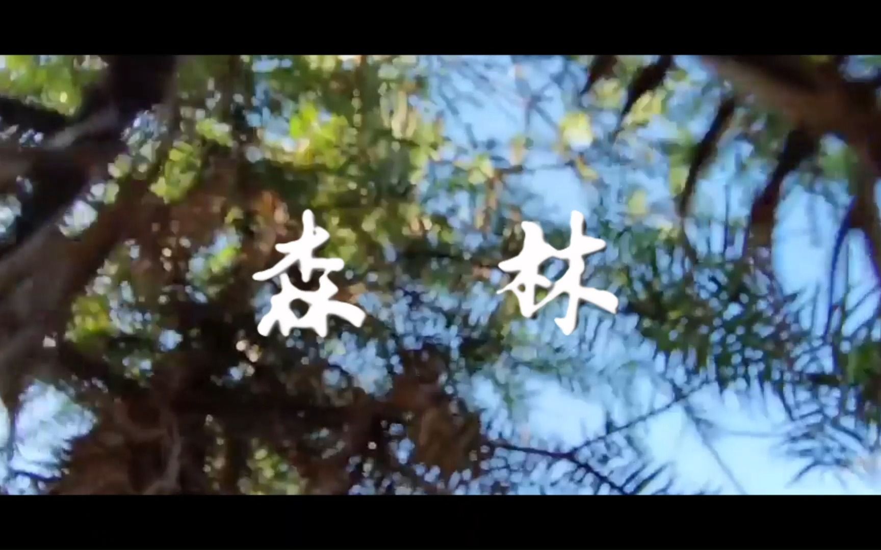 环保宣传片《森林》