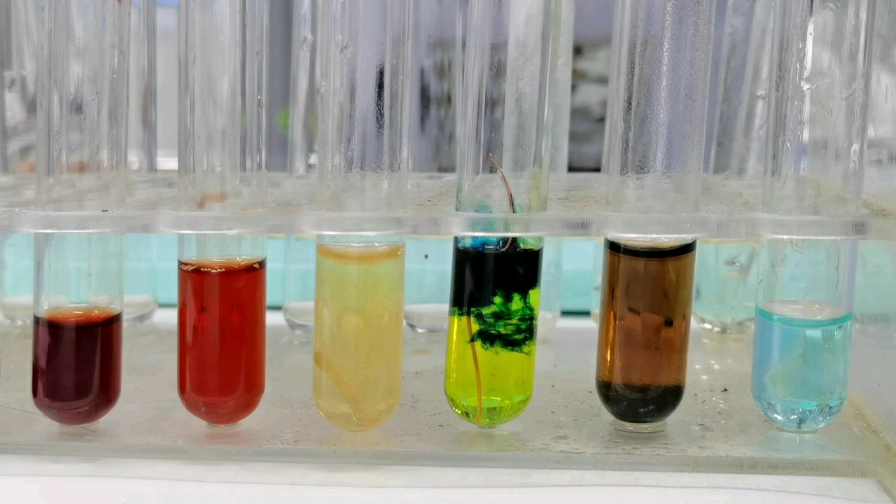 高中化学实验———氯气的性质
