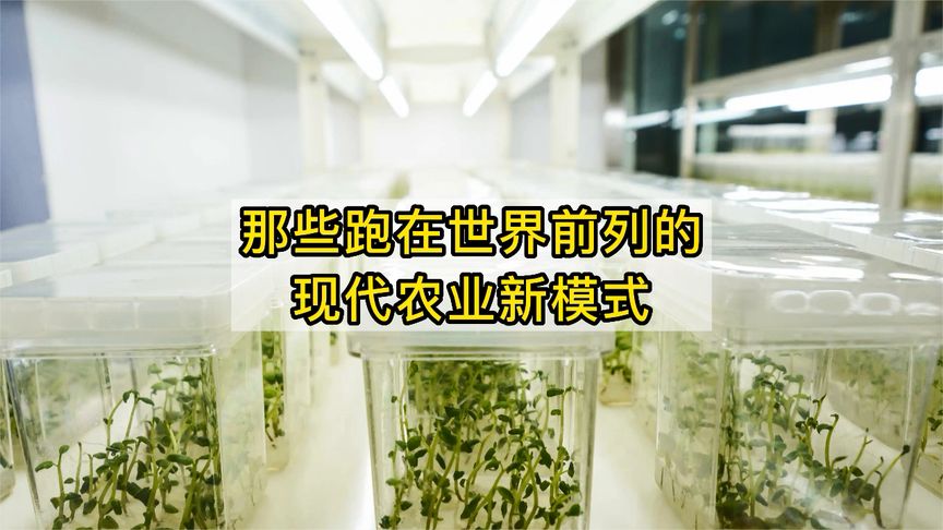 乡村振兴—那些跑在世界前列的现代农业新模式!