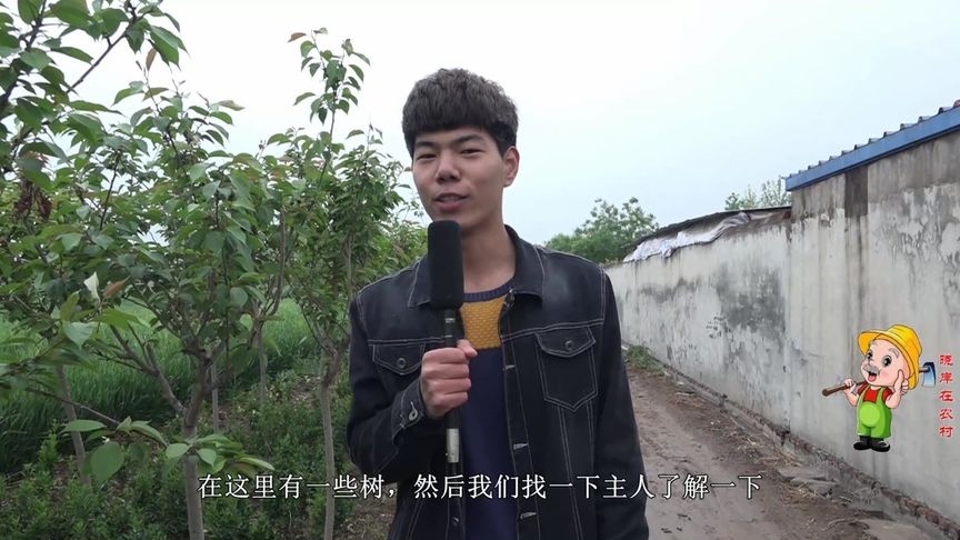探访农村树苗养殖基地,了解了树苗的种植情况和施肥方法
