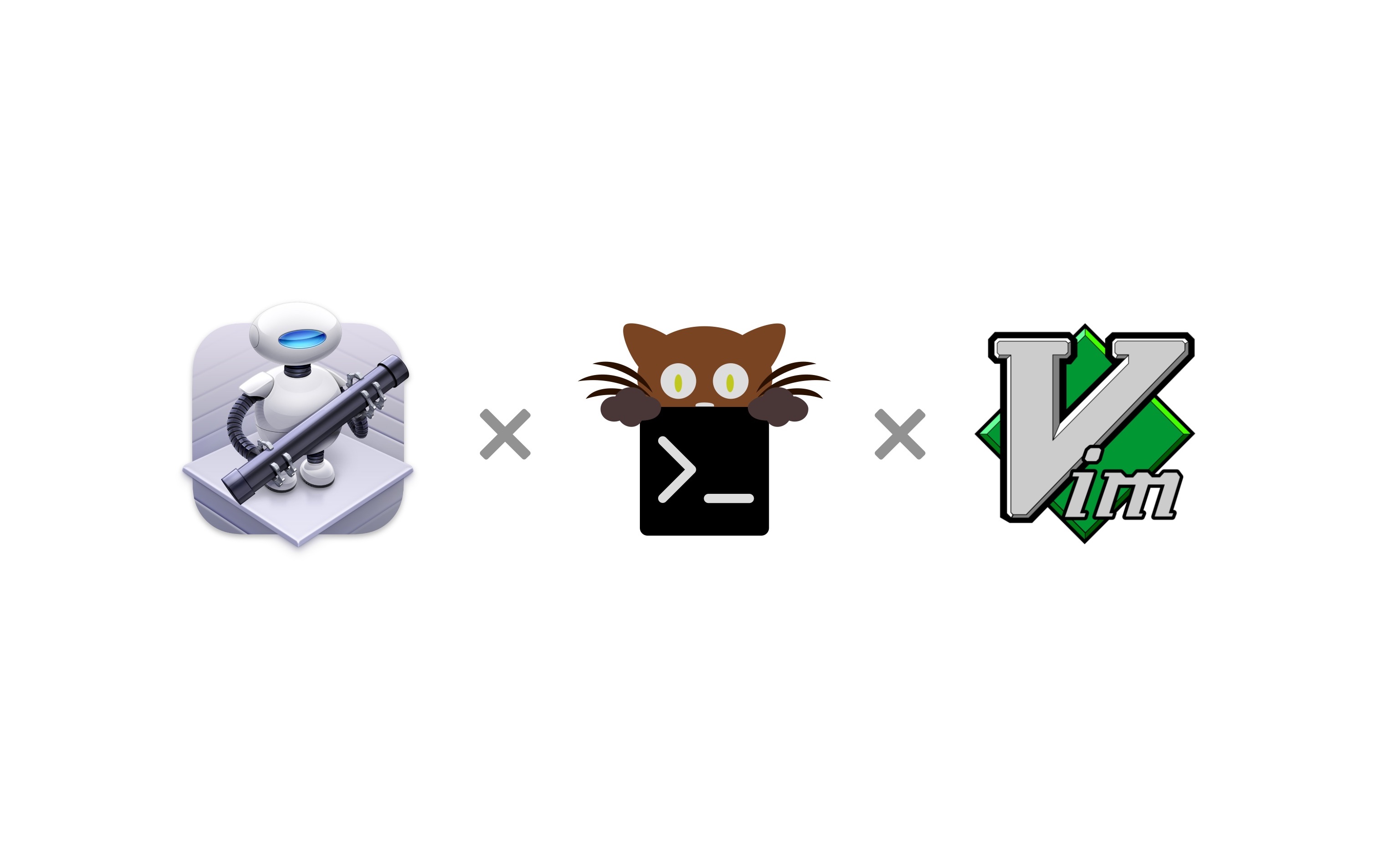 【Automator】在kitty终端中用vim直接打开纯文本文件