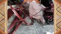 电动机绕组掏把嵌线视频(36槽4极单双层复合绕组)