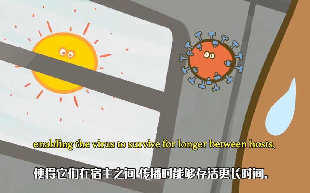 「快科普」冠状病毒是什么?【中英+可调字幕】What is a coronavirus