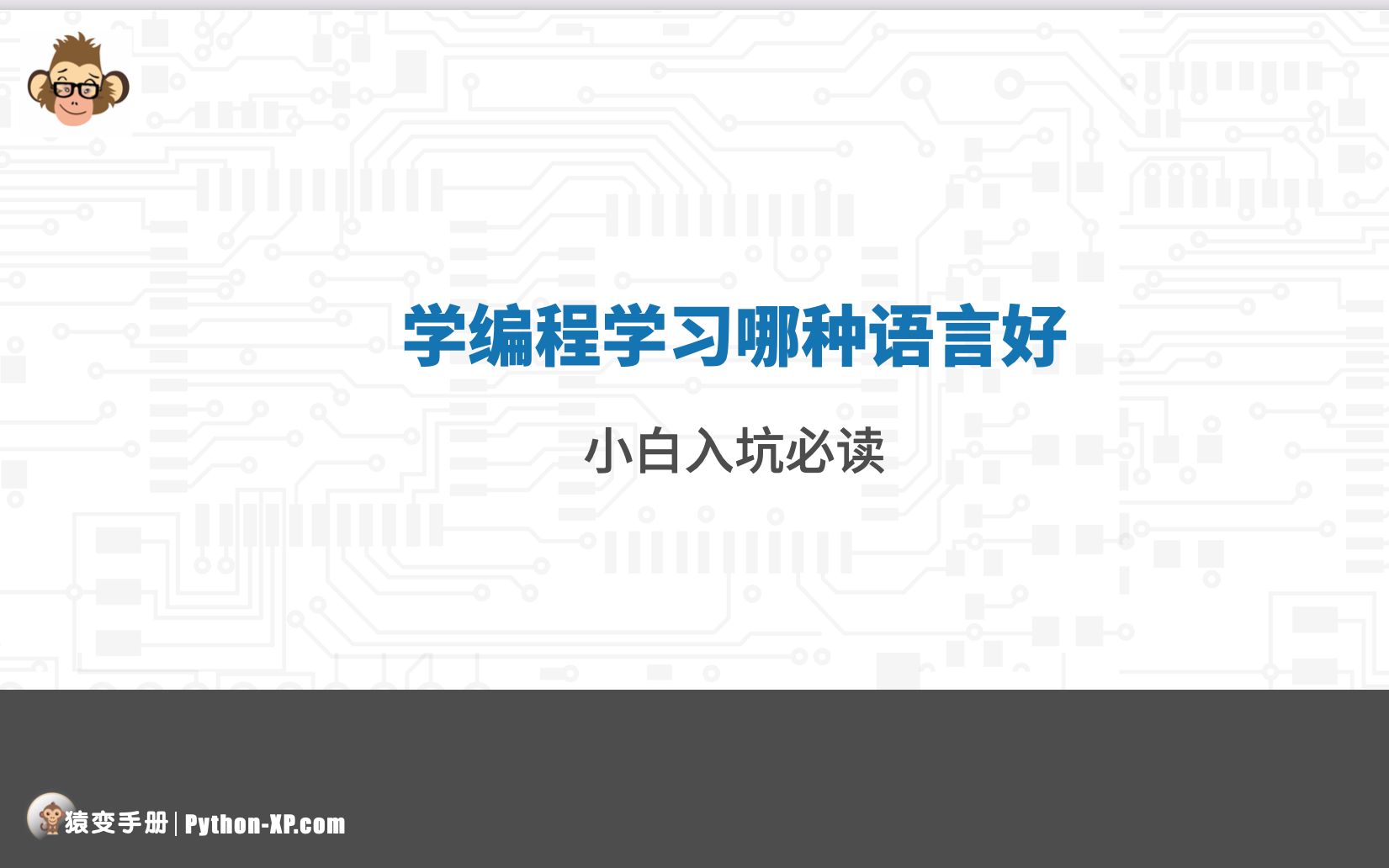 新人学编程选什么语言最好