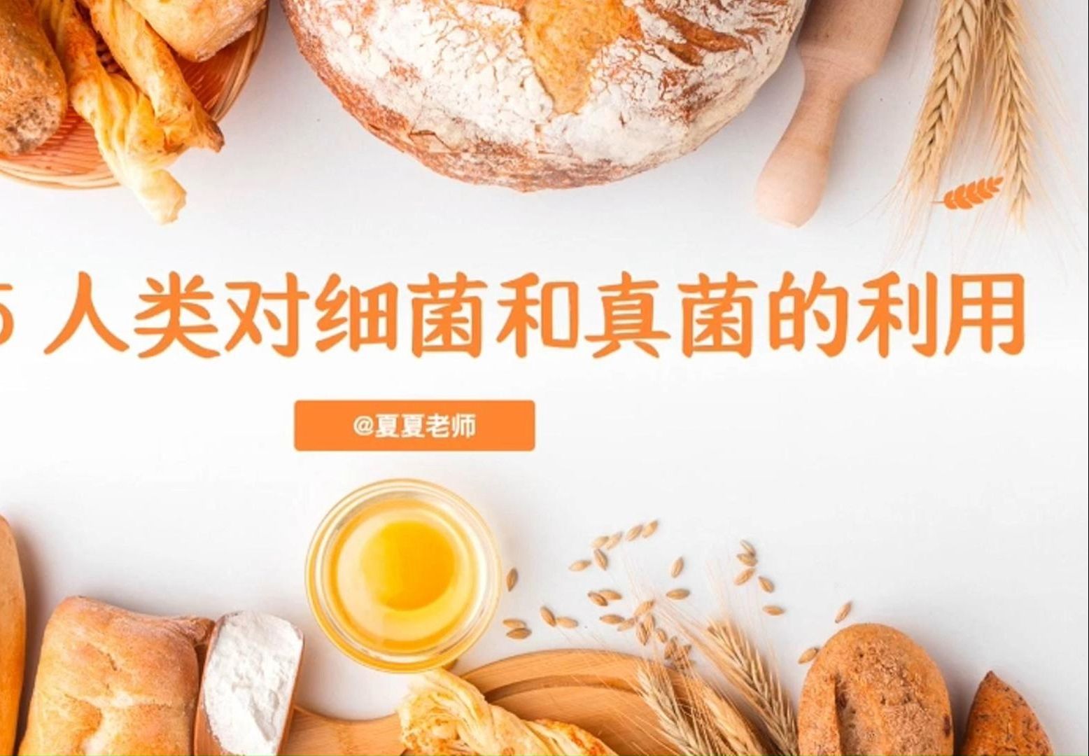 【夏夏老师】5.4.5 《人类对细菌和真菌的利用》 微课视频