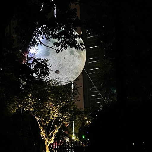 bili_一只小羊咩 