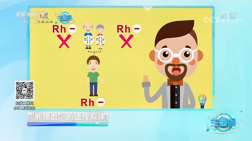 什么是“熊猫血”,血型是如何划分的?看完视频你就懂了|生活圈