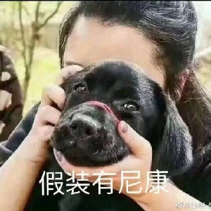 卓橙Lee 