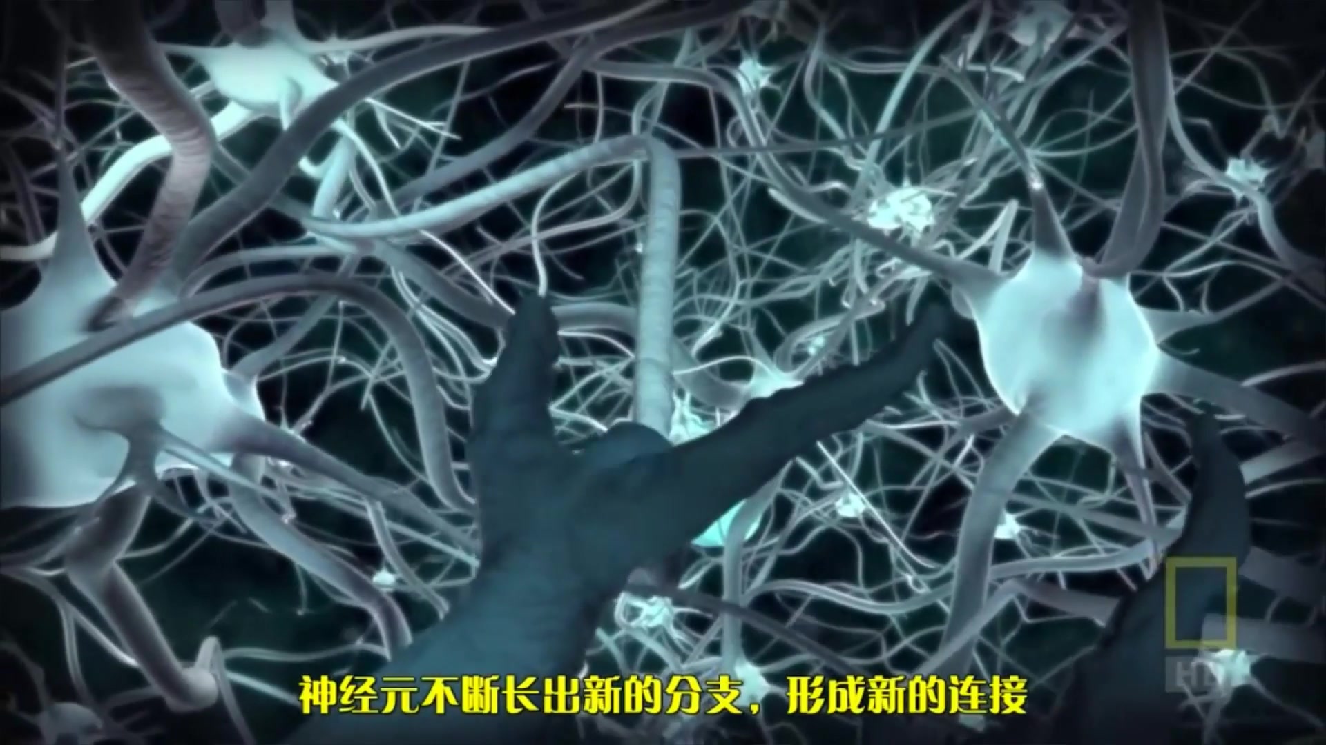 【生命熄灭那一刻寂静又凄美】四分钟人体内旅行,从生到死。