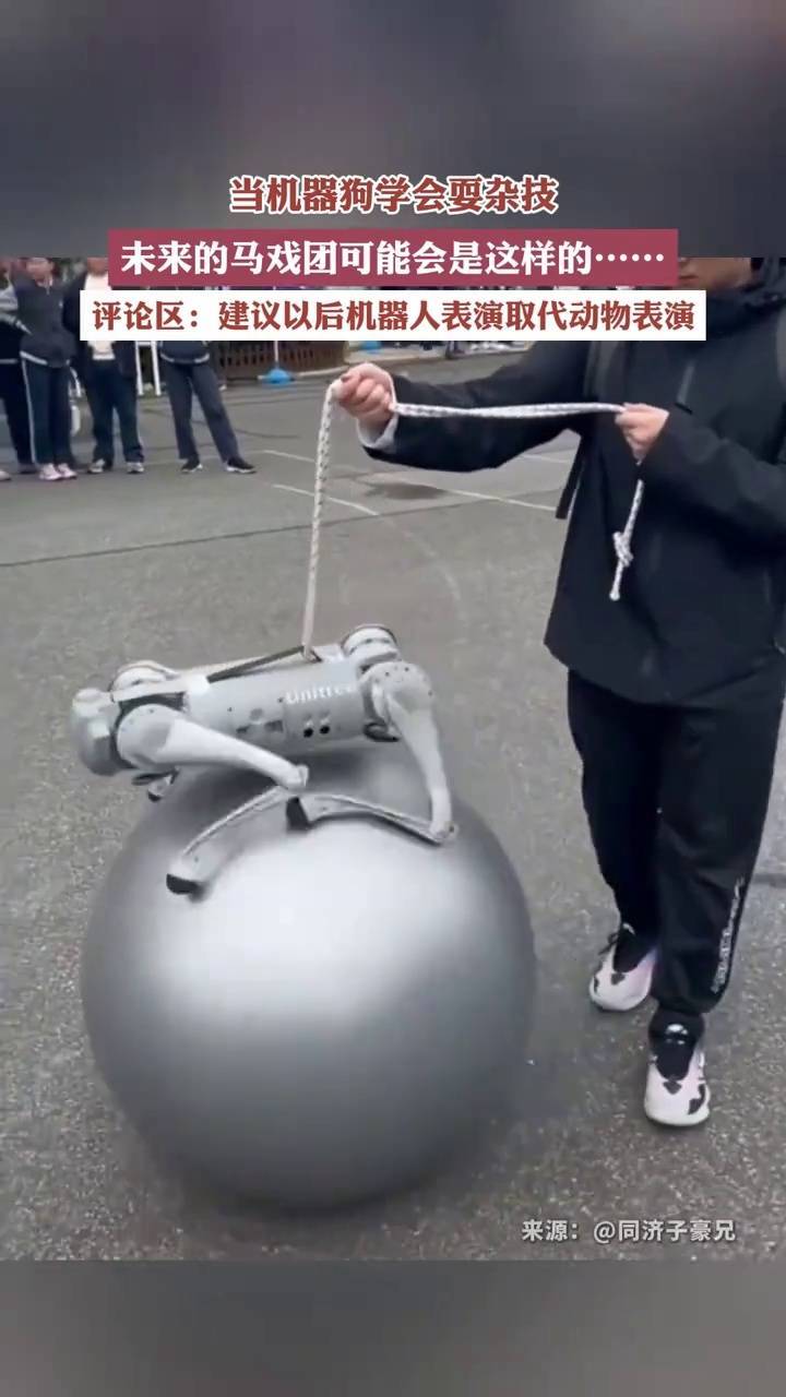 ...未来的马戏团可能是这样的。评论区:建议以后机器人表演取代动物...